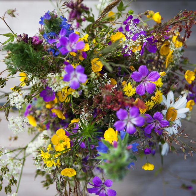 Environmental protection in Finland - thisisFINLAND