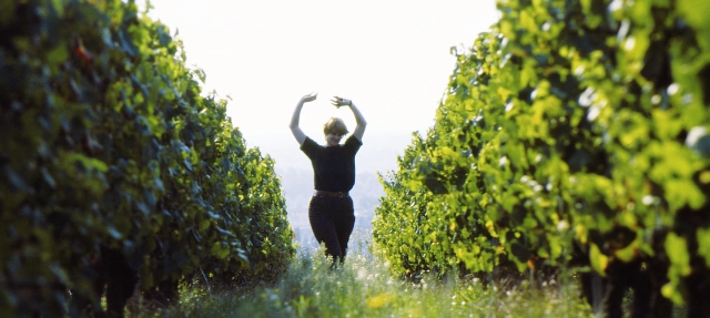 Genuine Finnish wine, made in France - thisisFINLAND