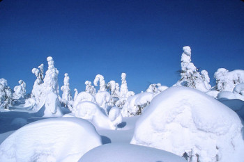 Environmental protection in Finland - thisisFINLAND
