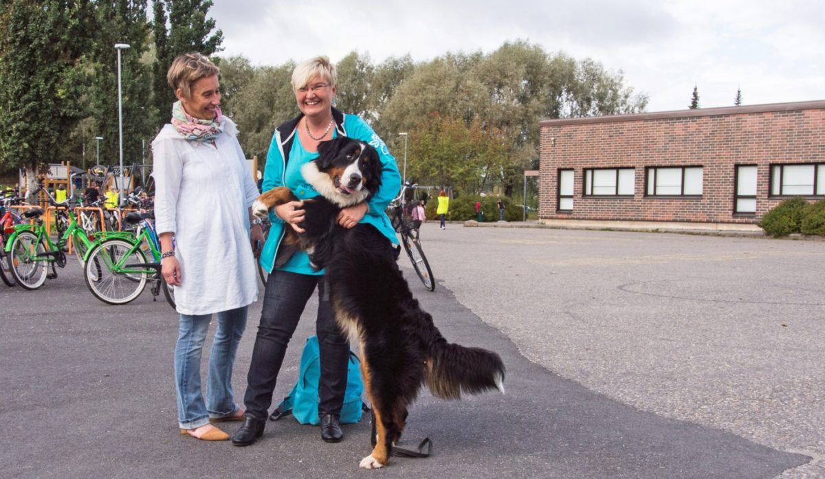 Finnish reading dogs help kids learn and grow - thisisFINLAND