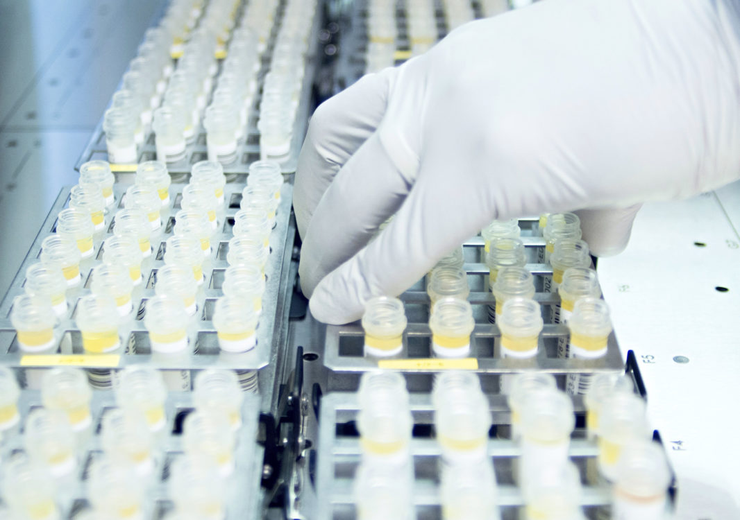 Meet Finland’s new gene genie - thisisFINLAND