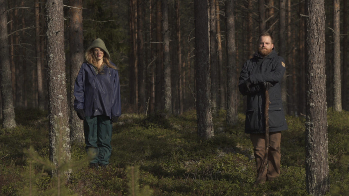 Finnish scientists: Pine-bud bacteria may help cure humans - thisisFINLAND
