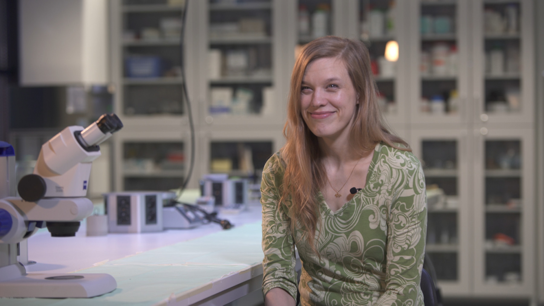 Finnish scientists: Pine-bud bacteria may help cure humans - thisisFINLAND