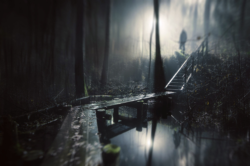 Finnish photographer sees light alone in landscape - thisisFINLAND