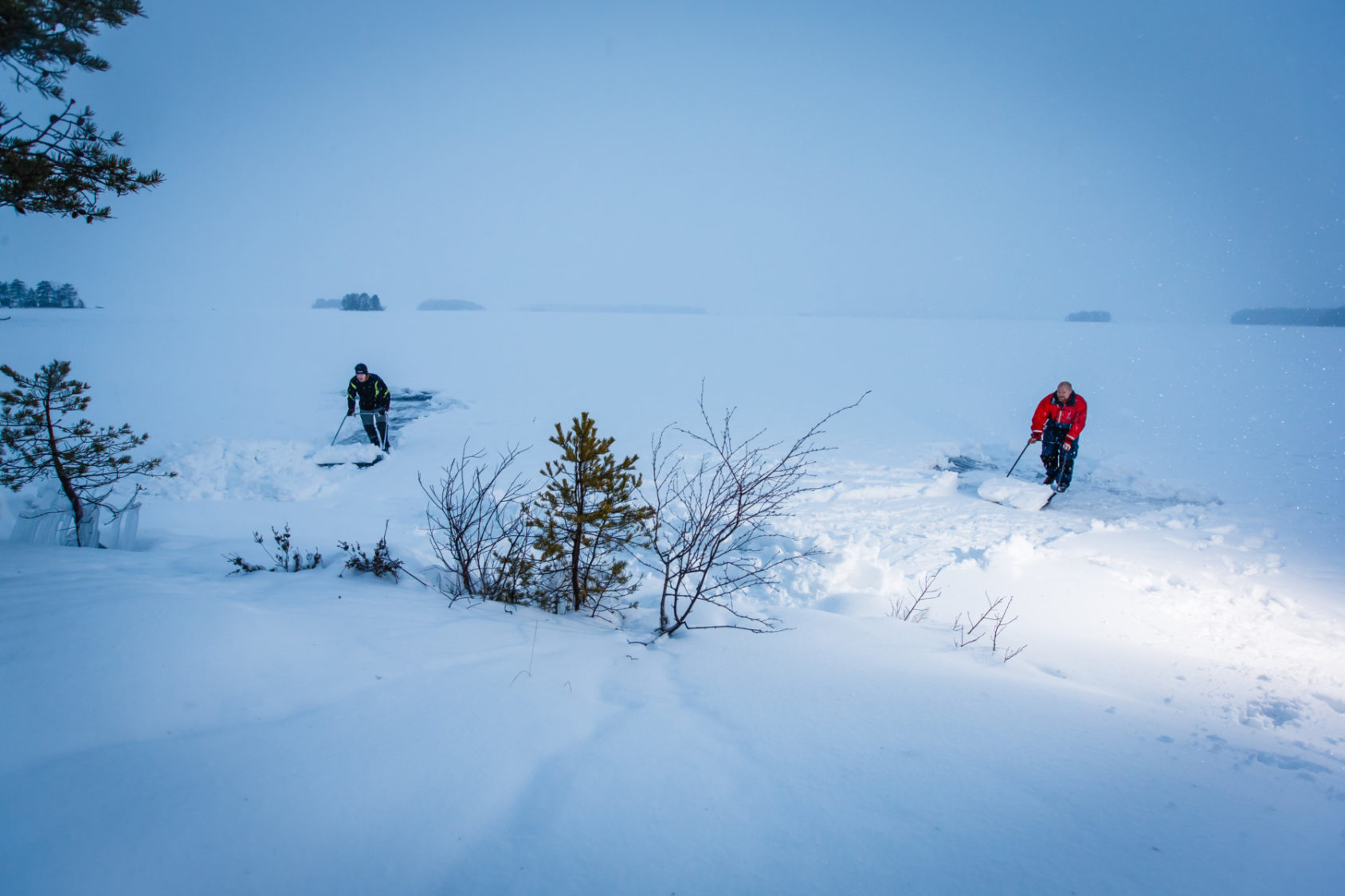 Endangered Finnish seals get winter help from locals - thisisFINLAND