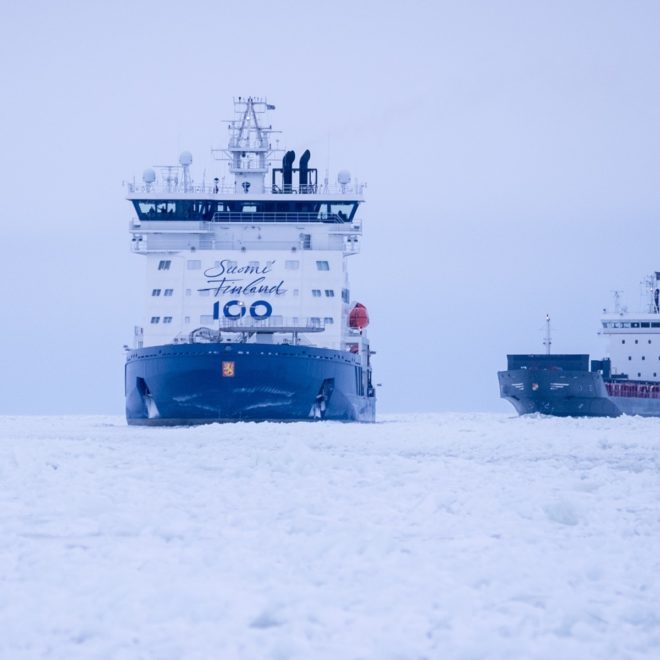 The sisu within you: The Finnish key to life, love and success ...