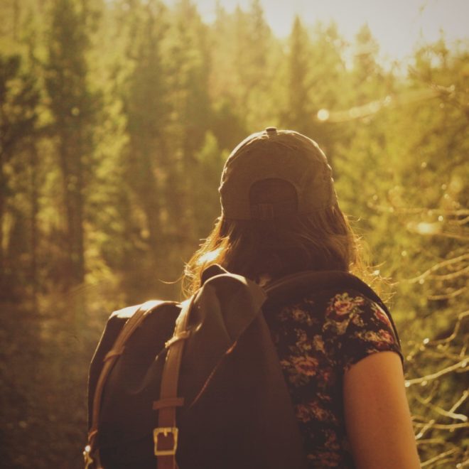 The sisu within you: The Finnish key to life, love and success ...