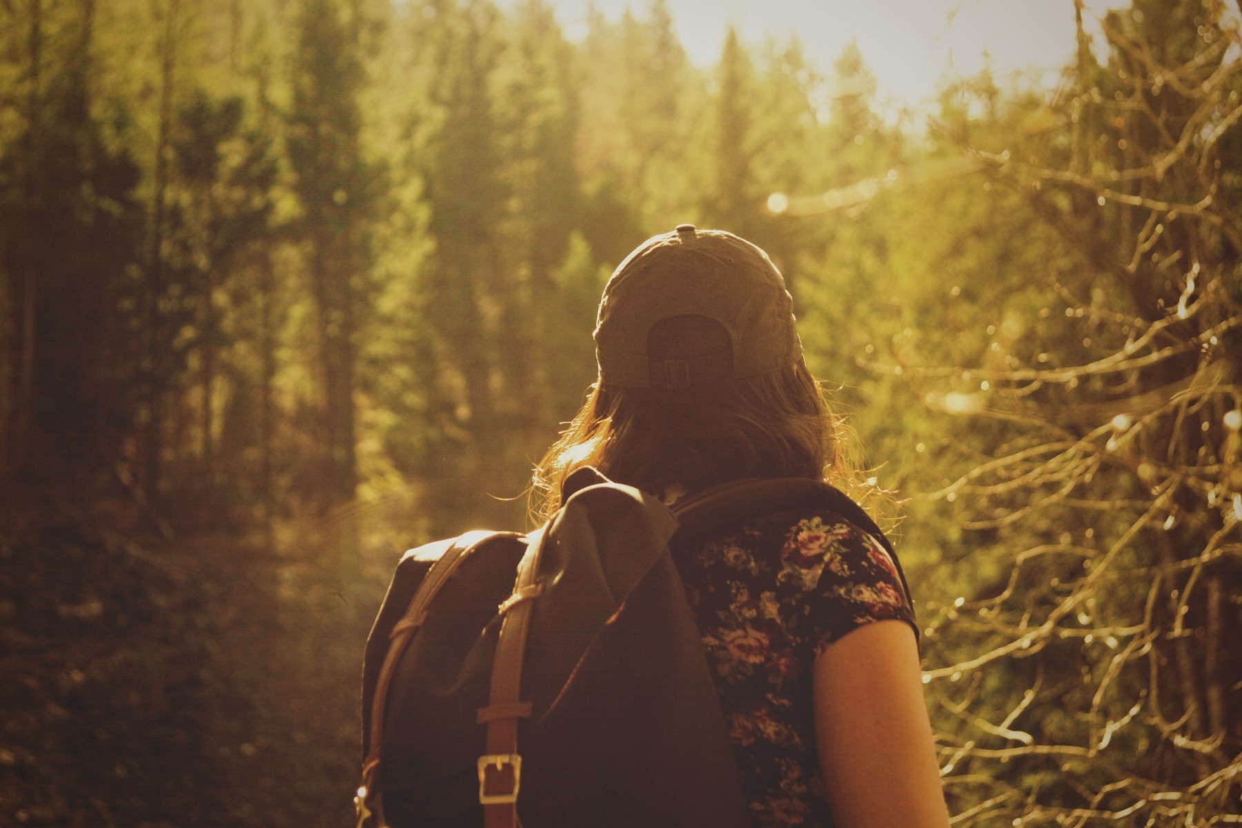 Sisu begins where perseverance ends - thisisFINLAND