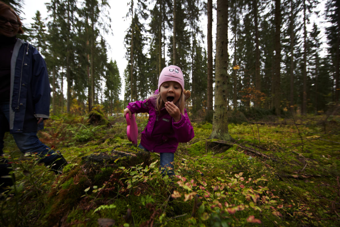 Biohacking journeys into Finnish forests - thisisFINLAND