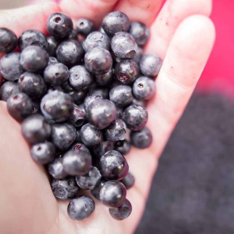 Finland’s new natural resource - thisisFINLAND