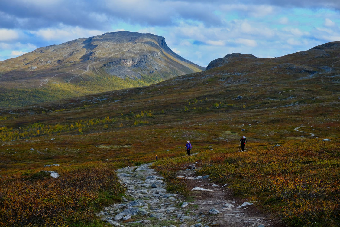 Autumn brings a festival of colour to Finnish Lapland’s fells ...
