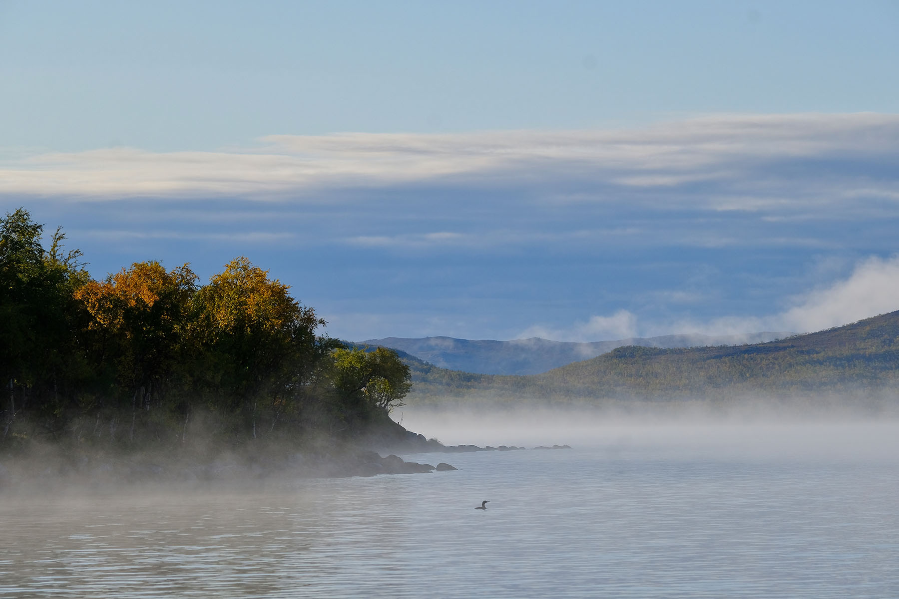 Autumn brings a festival of colour to Finnish Lapland’s fells ...