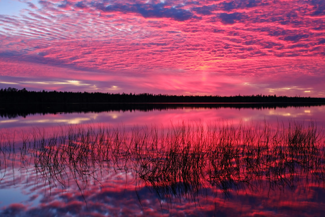 Autumn brings a festival of colour to Finnish Lapland’s fells ...