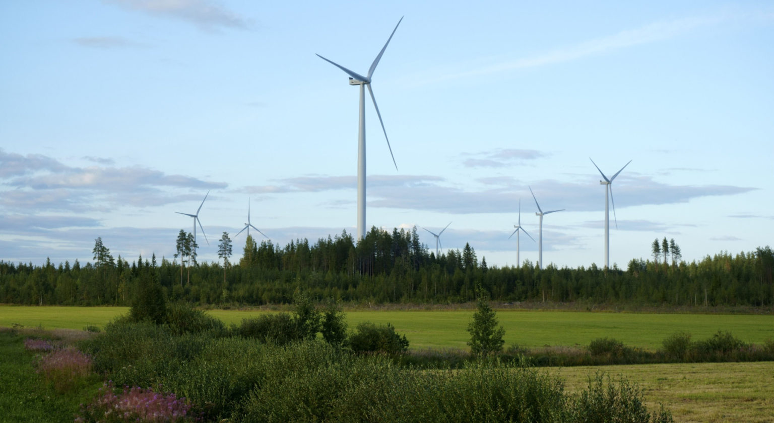 Finland’s carbon handprints and roadmaps show path to carbon neutrality ...