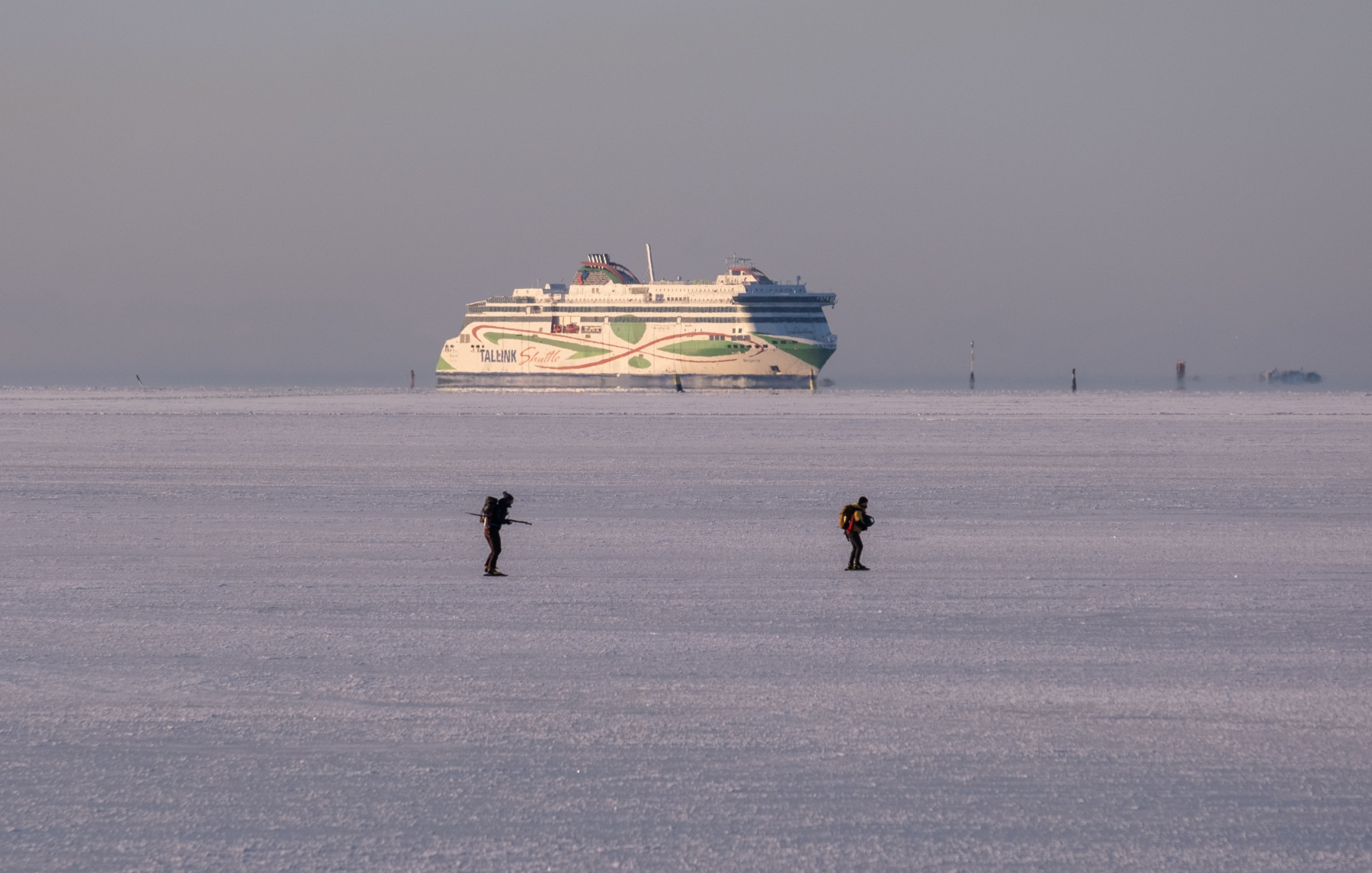 L’hiver dans les espaces maritimes finlandais : la faune doit faire ...
