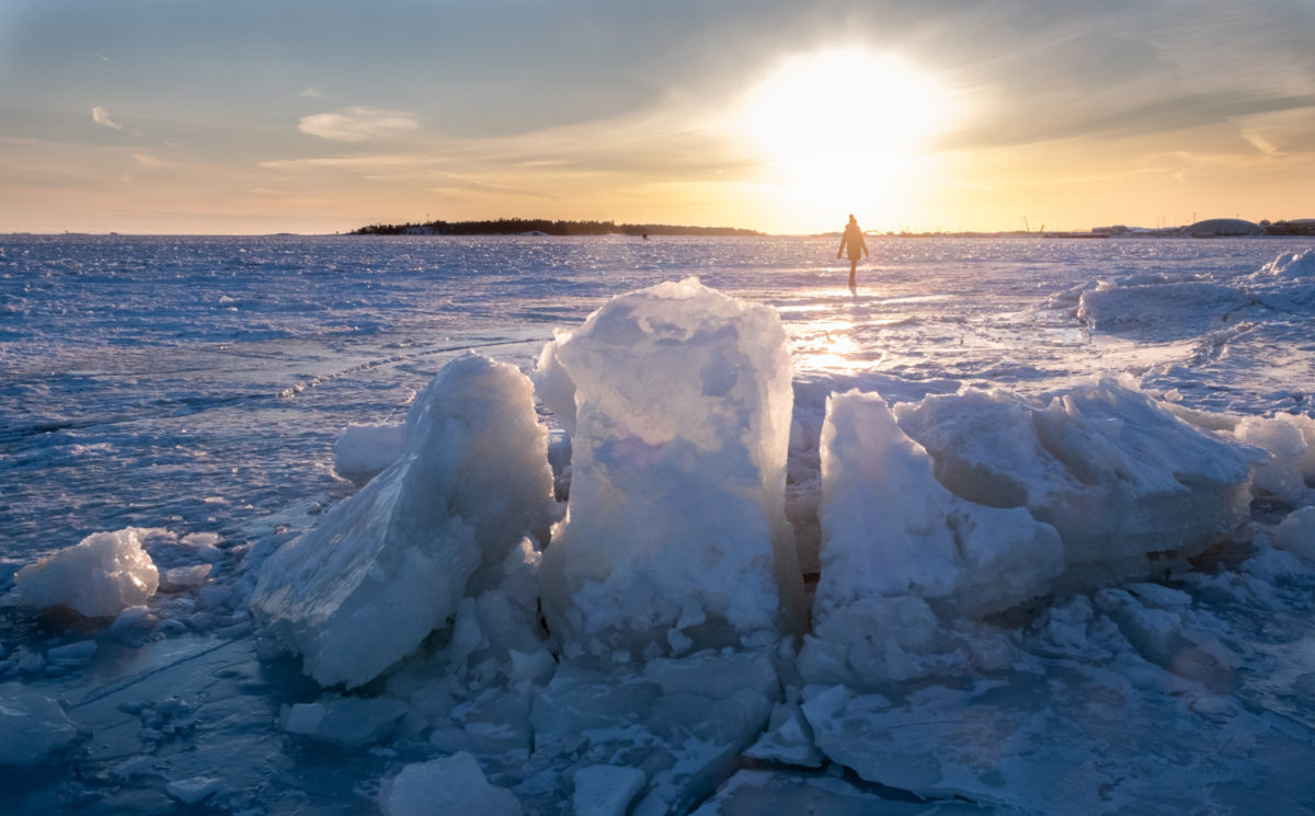 Weathering winter in Finnish waters: Wildlife copes with changing ...