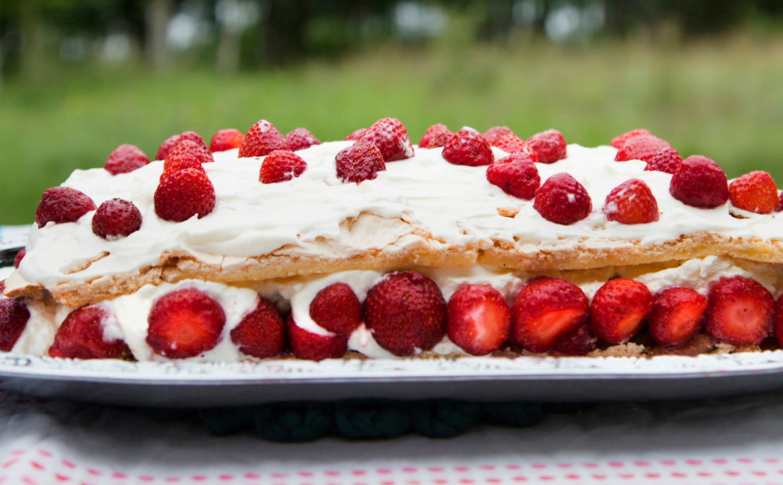 Baking Finnish Runeberg cakes, cinnamon buns and other sweet treats ...