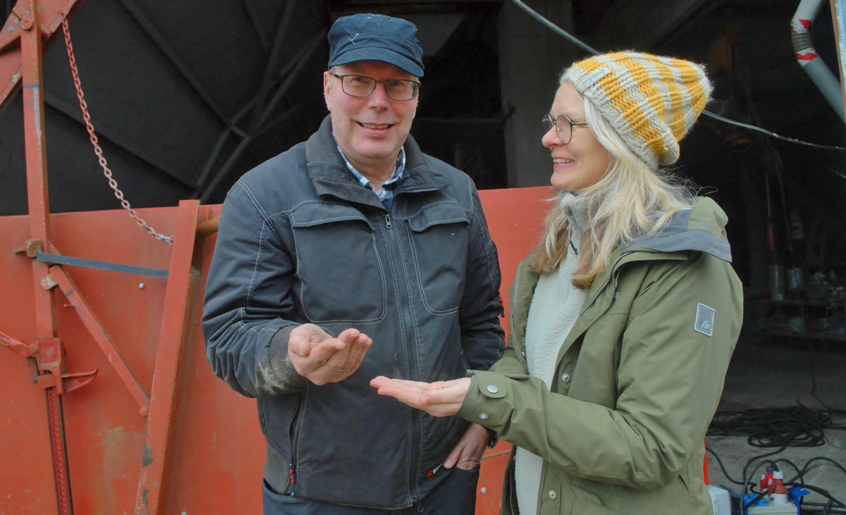 Self-sufficient organic Finnish farm grows its own fuel and a greener ...