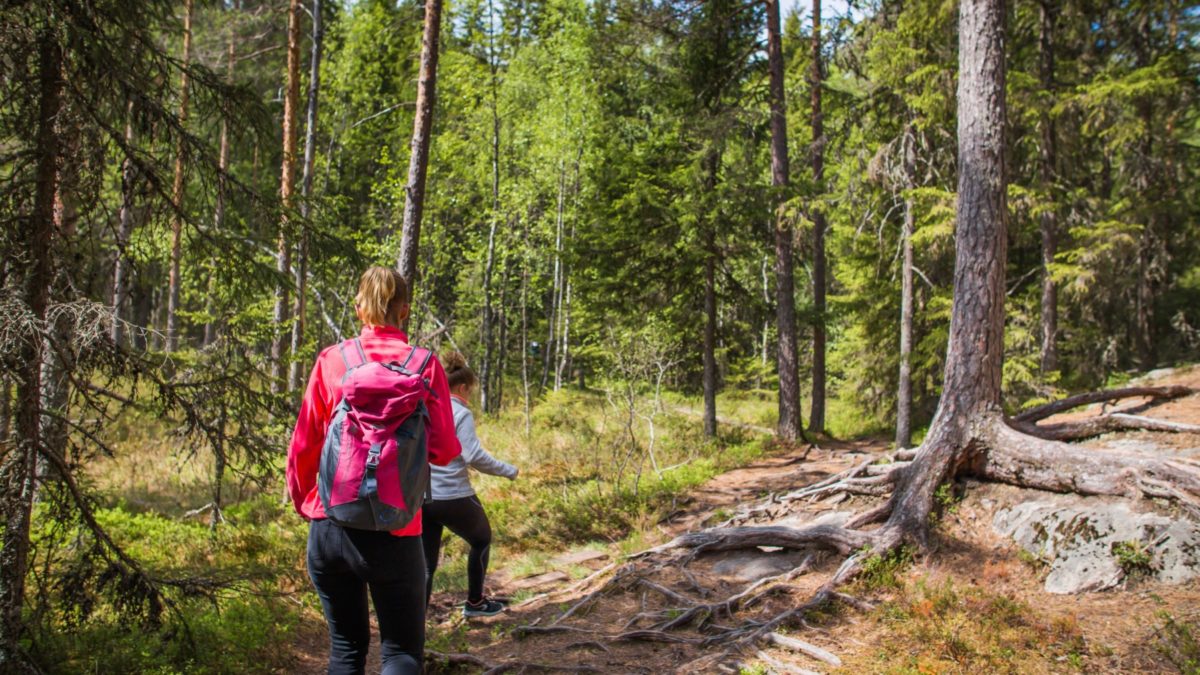 Treasure hunting in the Finnish forest - thisisFINLAND