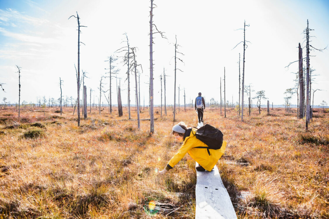 Natural attraction: Finland’s national parks draw people to popular ...