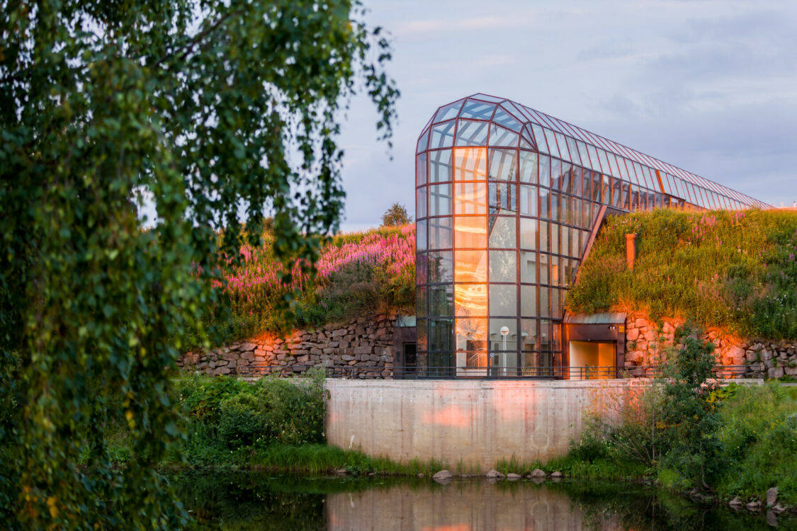 At a university in northern Finland, international cooperation thrives ...