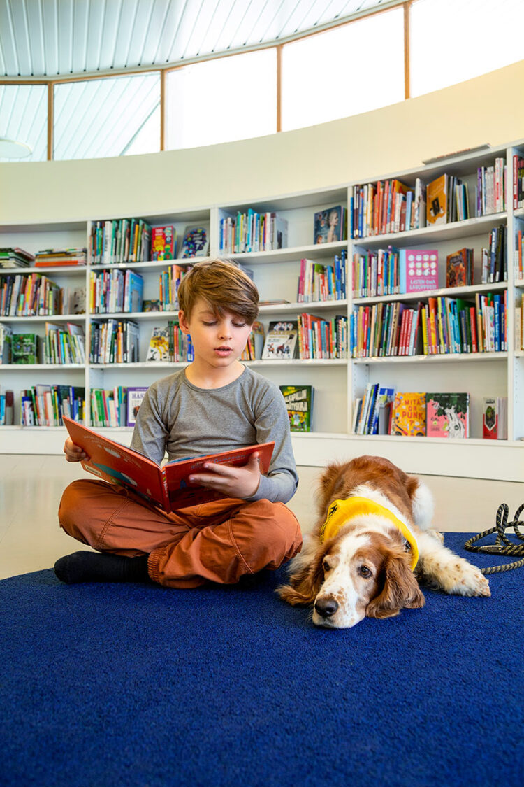 Libraries the Finnish way: welcoming, wild and wonderful - thisisFINLAND
